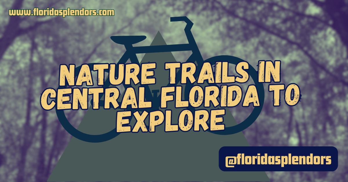 Nature Trails in Central Florida to Explore - Florida Splendors