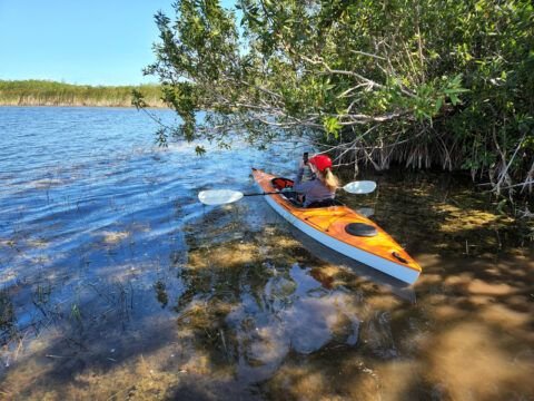 Kayak Trails in South Florida - Florida Splendors