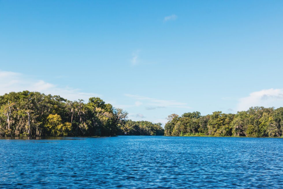 Central Florida Day Trips For Everyone - Florida Splendors