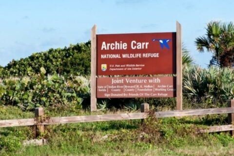 Archie Carr National Wildlife Refuge - Florida Splendors