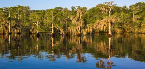 Best Lakes in Florida - Florida Splendors