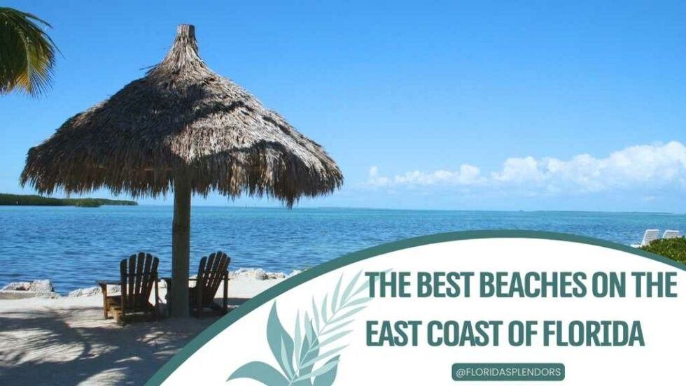 The Best Beaches on the East Coast of Florida - Florida Splendors