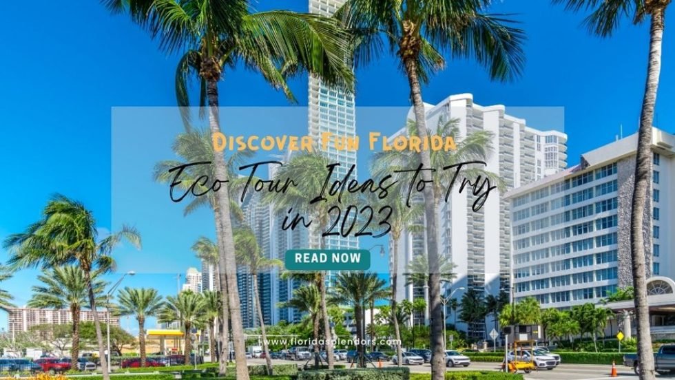 Discover Florida Eco Tours Ideas to Try in 2023 - Florida Splendors
