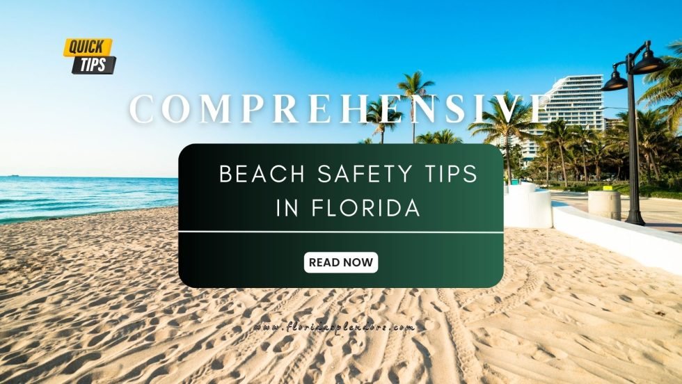 Comprehensive Beach Safety Tips in Florida - Florida Splendors