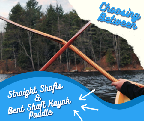 Your Guide to Bent Shaft Kayak Paddle - Florida Splendors