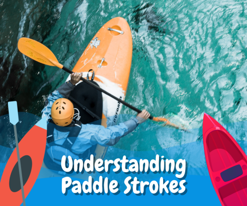Kayak Paddle Strokes, Canoe Paddle Strokes - Florida Splendors