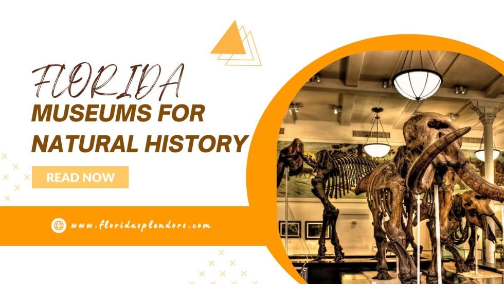 Florida Museums for Natural History - Florida Splendors