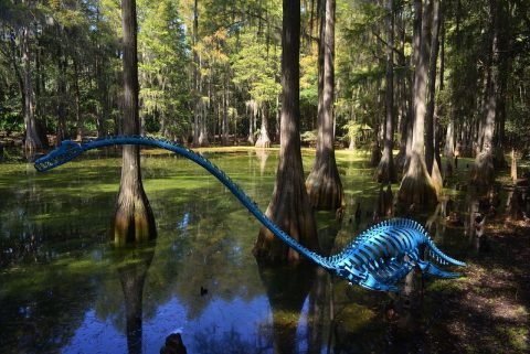 The Tallahassee Museum: A Must-Visit Destination in Florida - Florida ...