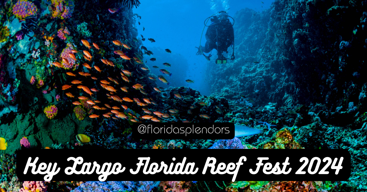 Key Largo Florida Reef Fest 2024 - Florida Splendors