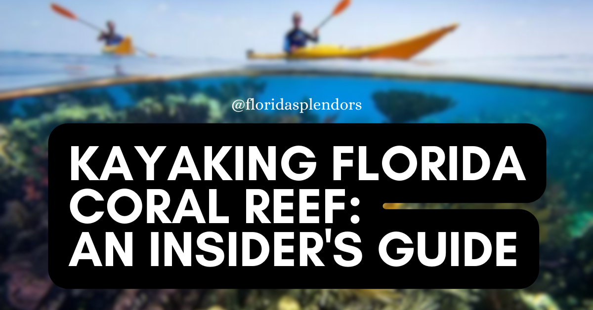 Kayaking Florida Coral Reef: An Insider's Guide - Florida Splendors