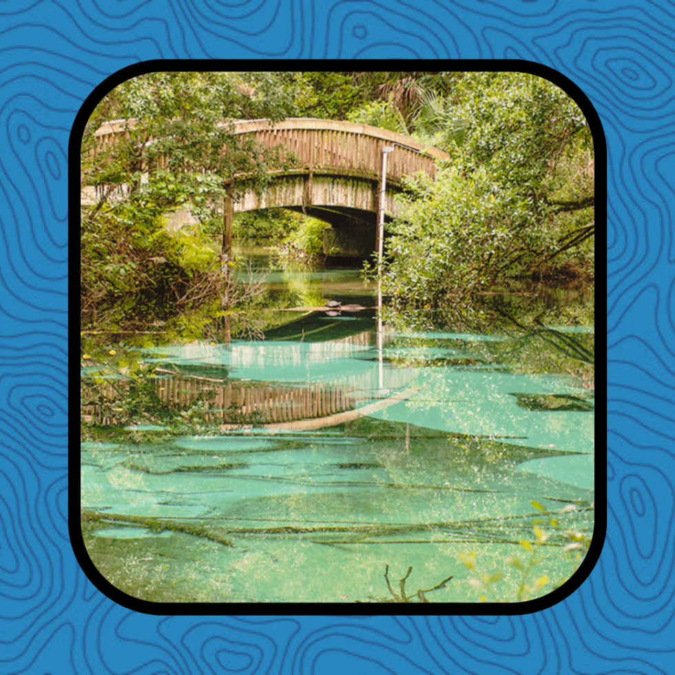 Nature Trails in Central Florida to Explore - Florida Splendors