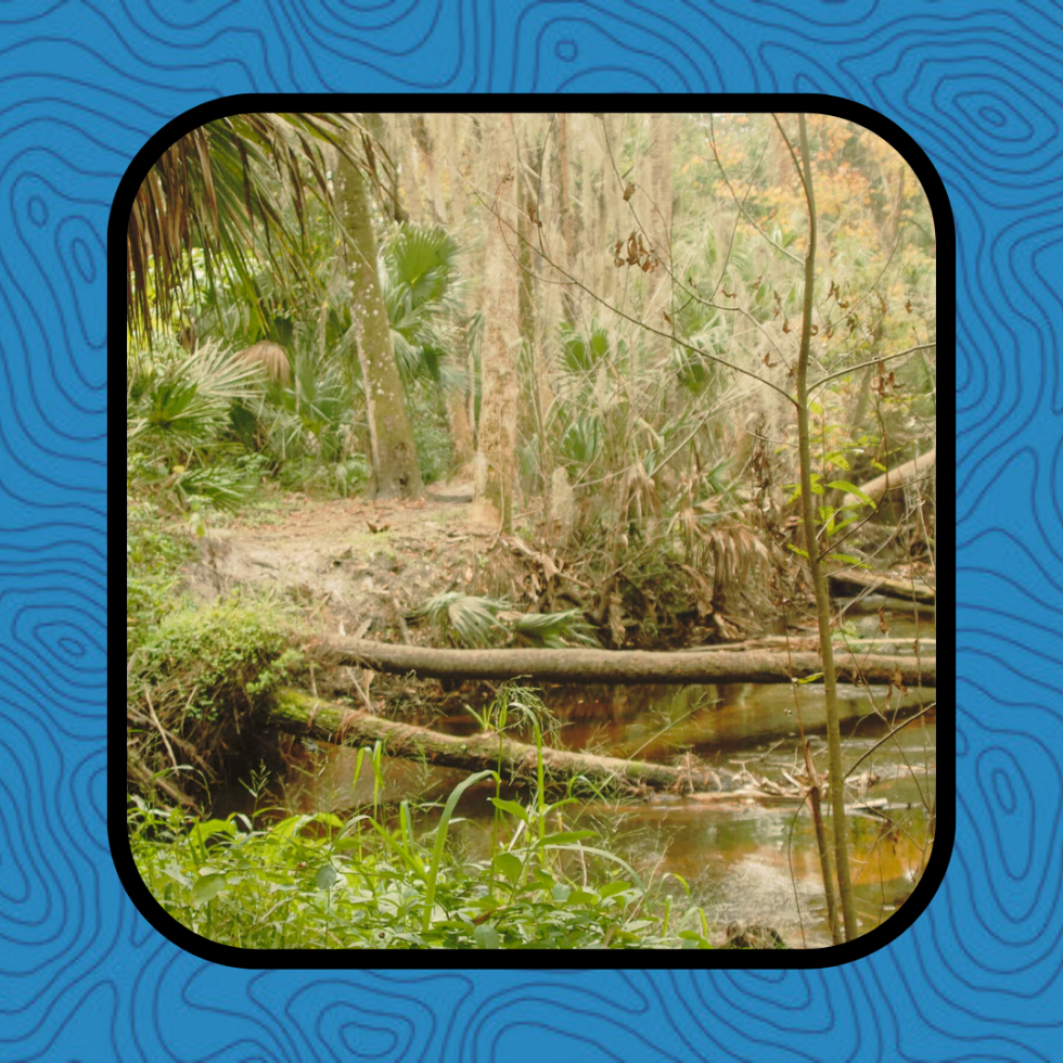 Nature Trails in Central Florida to Explore - Florida Splendors