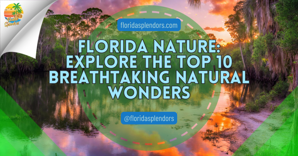 Florida Nature: Explore the Top 10 Breathtaking Natural Wonders ...