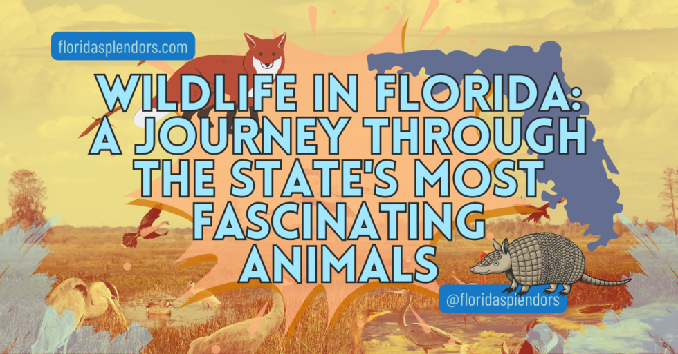 Wildlife in Florida: A Journey Through the State's Most Fascinating ...
