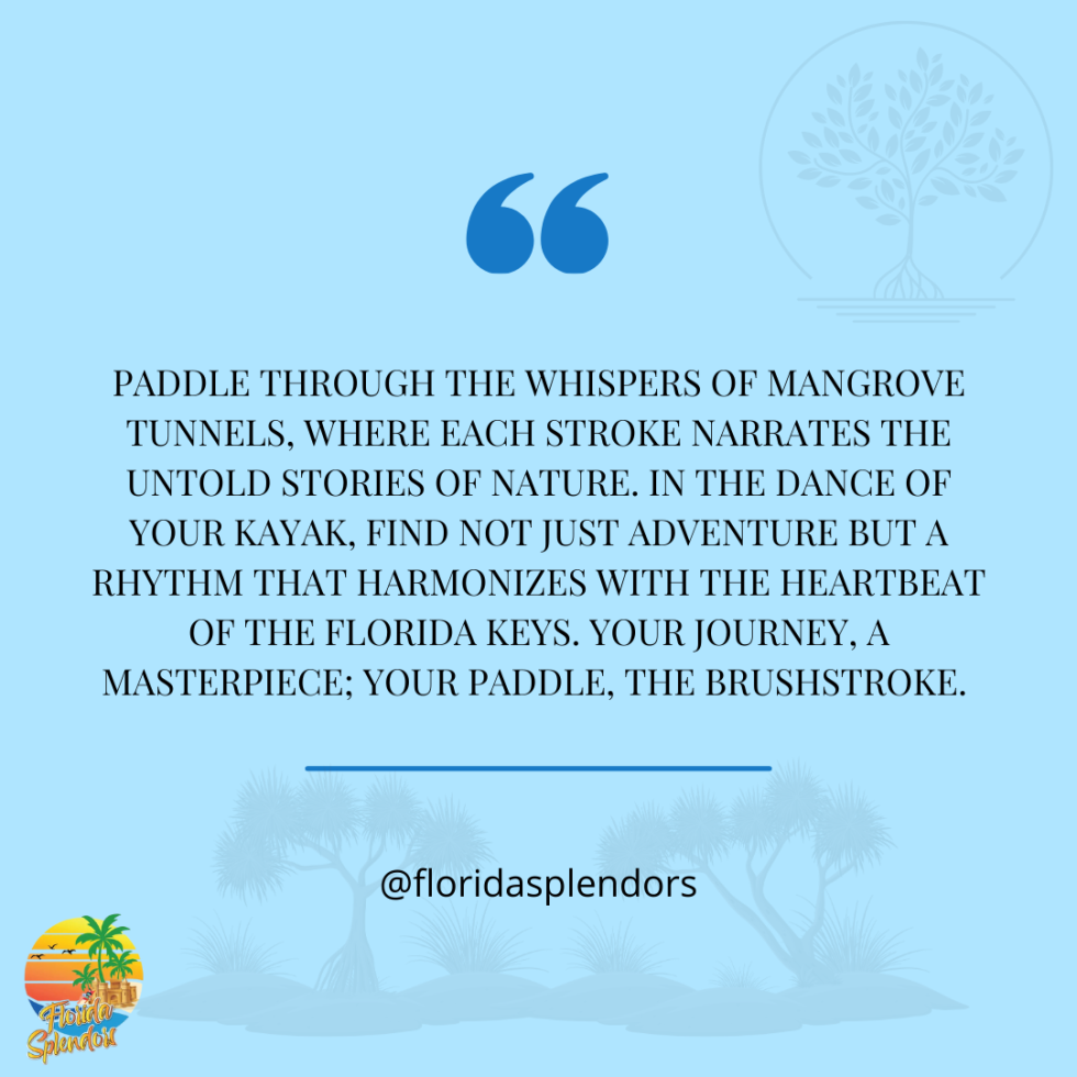 Kayak Mangroves Florida Keys: Uncover the Hidden Gem - A Serene ...
