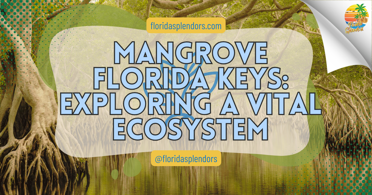 Mangrove Florida Keys: Exploring a Vital Ecosystem - Florida Splendors