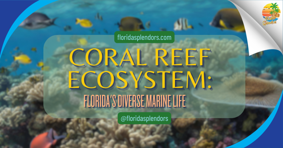 Coral Reef Ecosystem: Florida's Diverse Marine Life - Florida Splendors